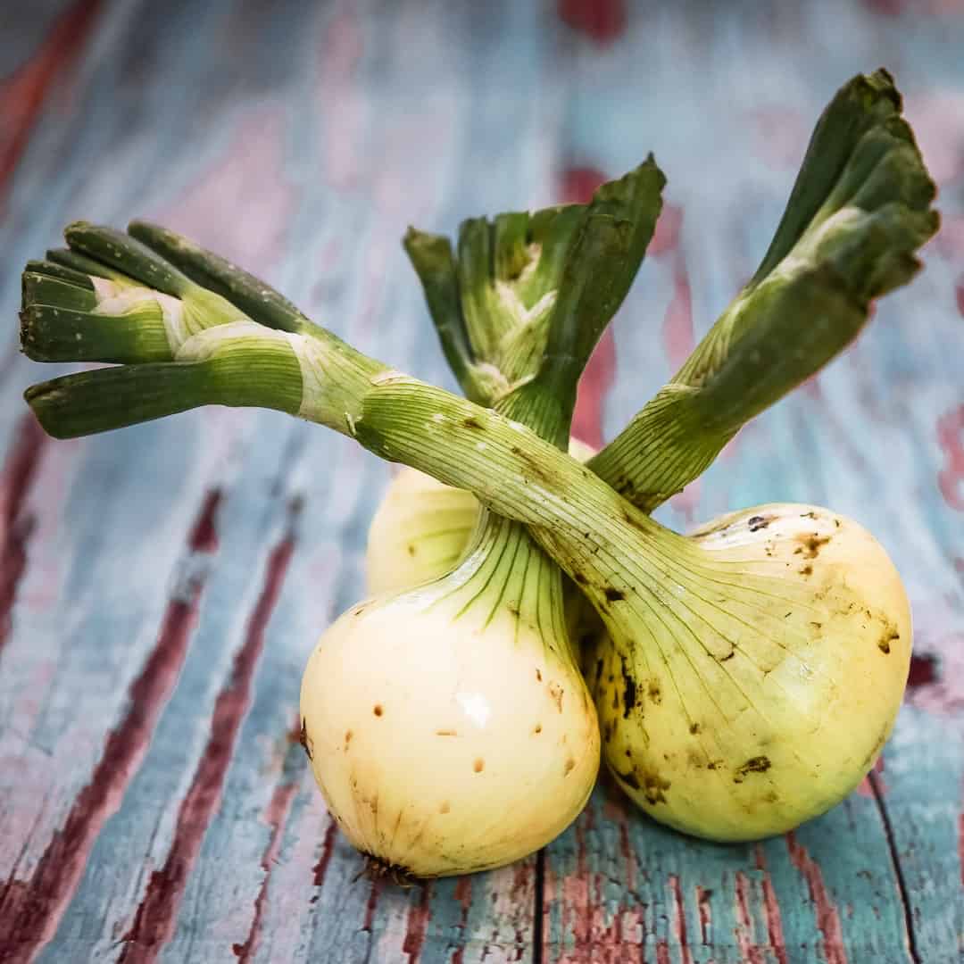 Filizlenmiş soğan tüketmek sağlık açısından sakıncalı mı? • Momentum Sağlık